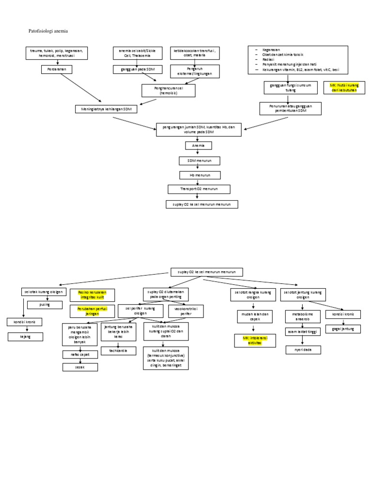 Patofisiologi Anemia | PDF
