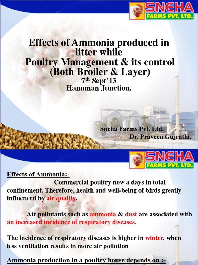 Ammonia Control in Poultry Litter Management | PDF | Poultry Farming ...