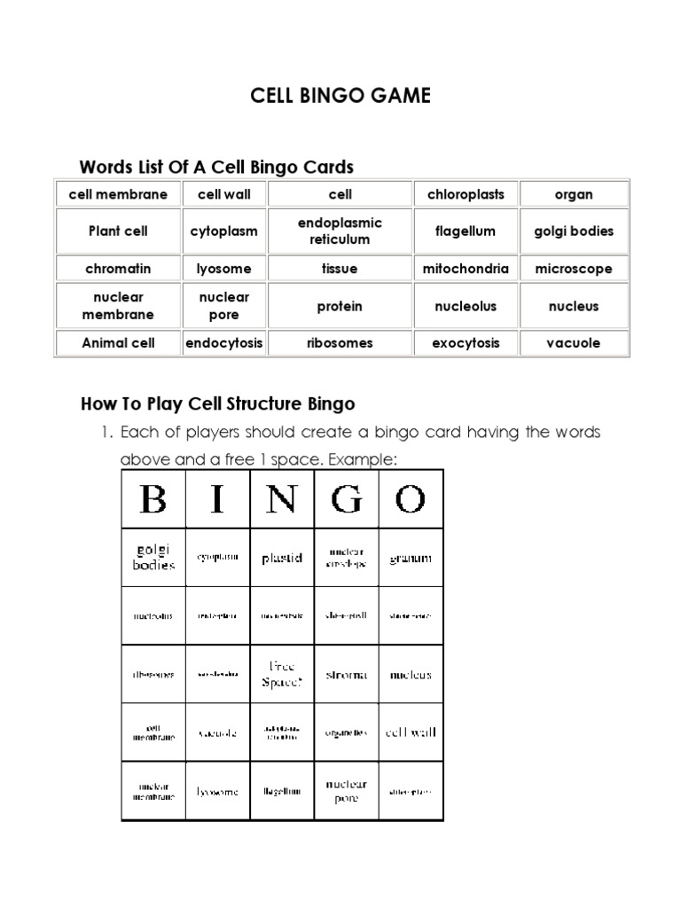 Cell Bingo Game | PDF | Cell Nucleus | Cell (Biology)