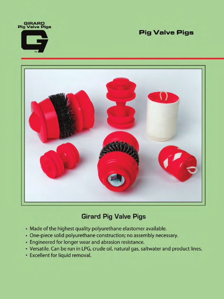 Girard Pig Valve Cleaning Solutions | PDF | Social Science