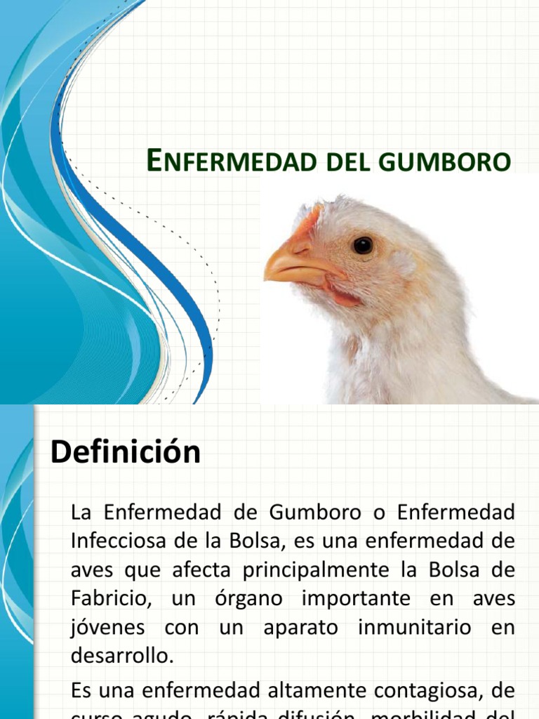 Tratamiento de la Enfermedad de Gumboro | PDF | Infección | Virus