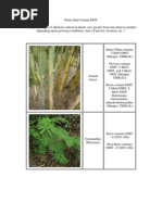 DMT Extraction from Mimosa Hostilis Guide | PDF | Psychedelic Drugs ...