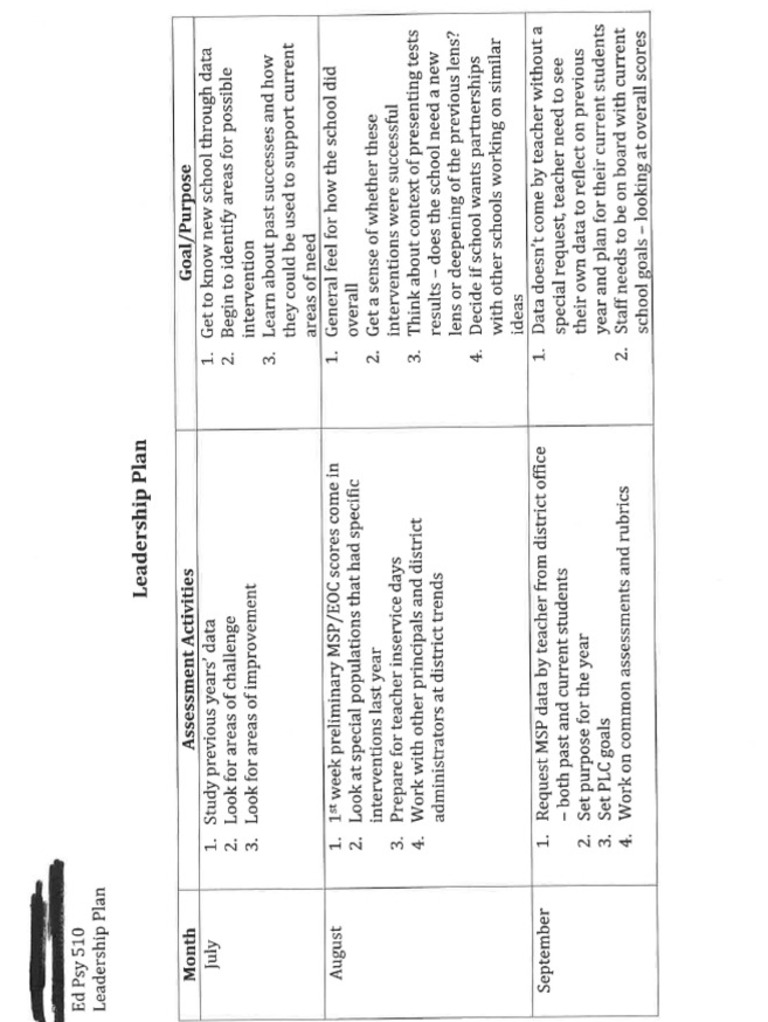 Leadership Plan Sample 2 | PDF