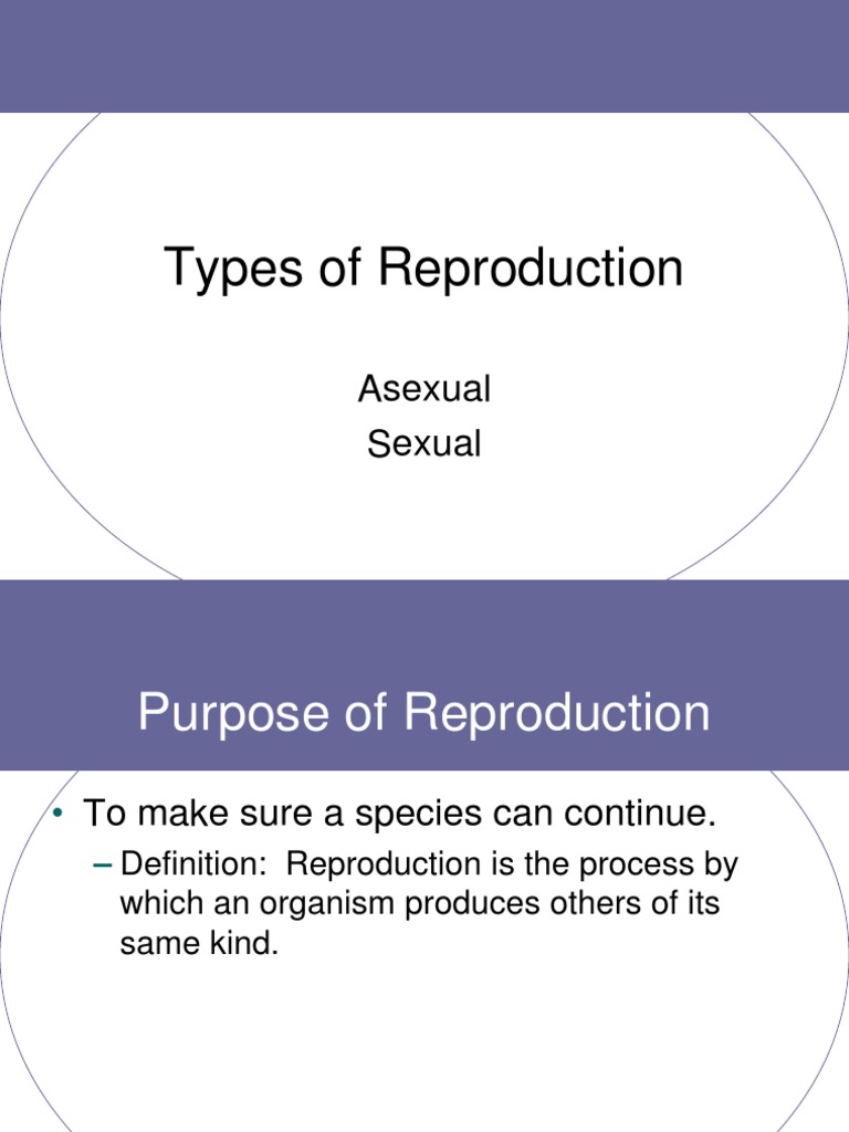 Asexual vs Sexual Reproduction Explained | PDF