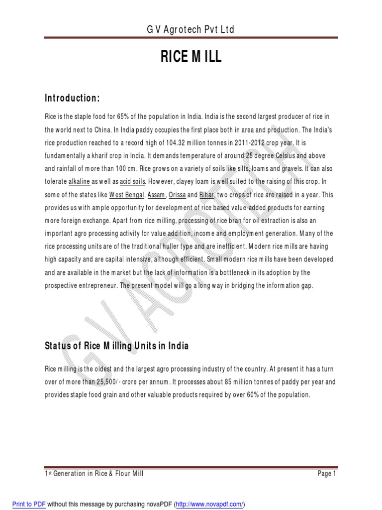 Rice Mill Project | PDF | Rice | Agriculture