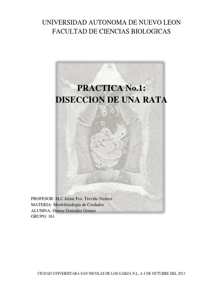 Diseccion de La Rata | PDF | Respiración | Pulmón