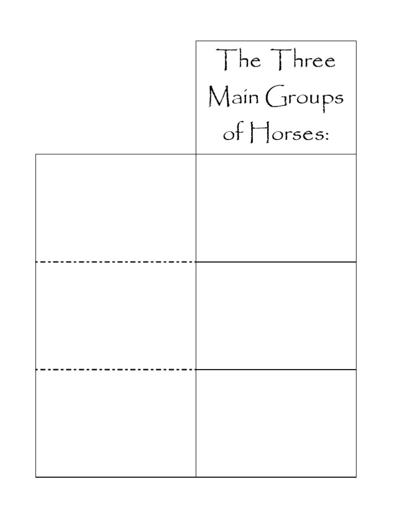 Horse Types Minibook | PDF