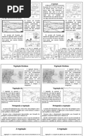 Importância Dos Mangais para o Meio Ambiente | PDF | Mangue | Ambiente ...