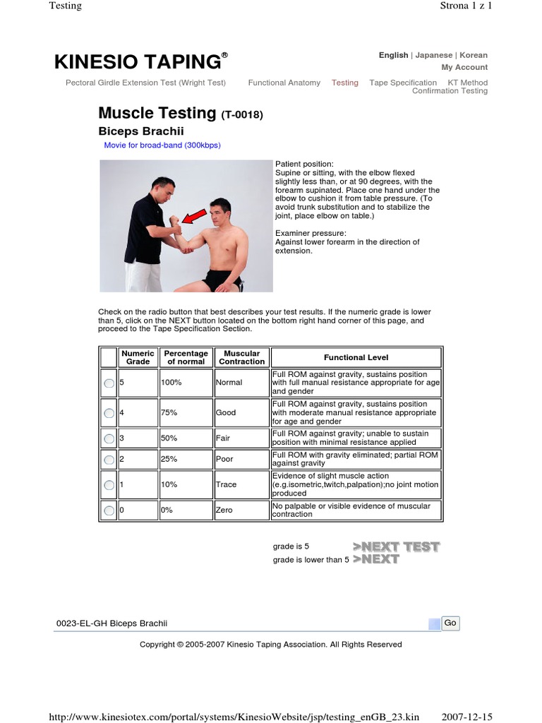 Biceps Brachii Test