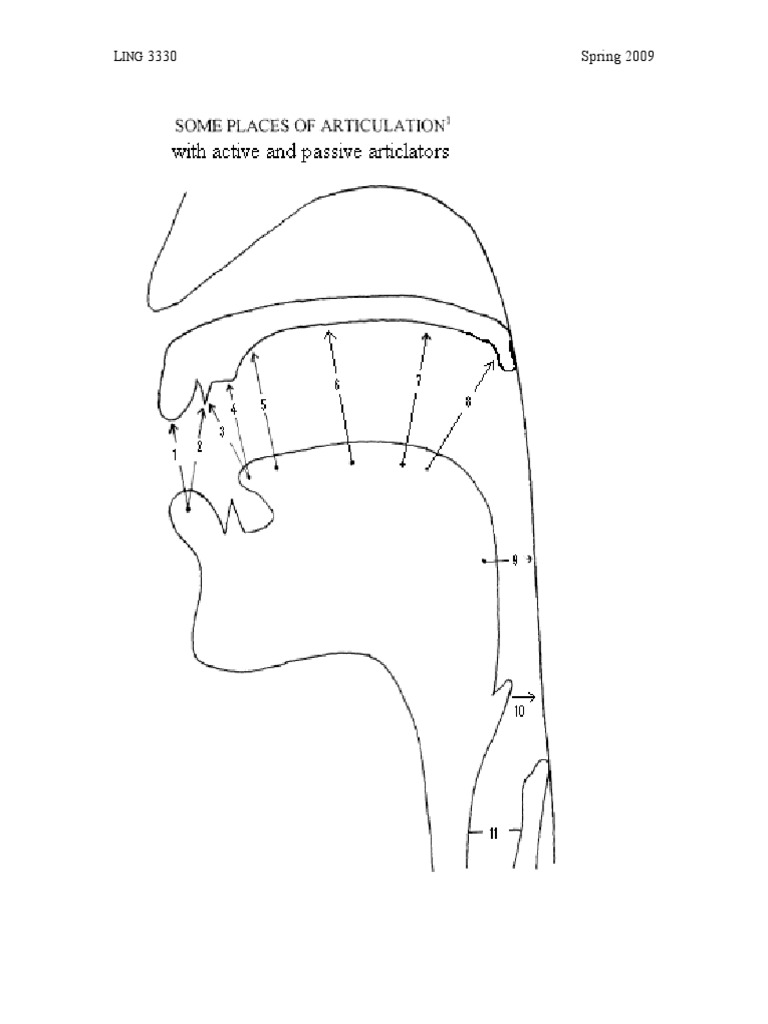 Articulation Handout | PDF | Language Arts & Discipline | Foreign ...