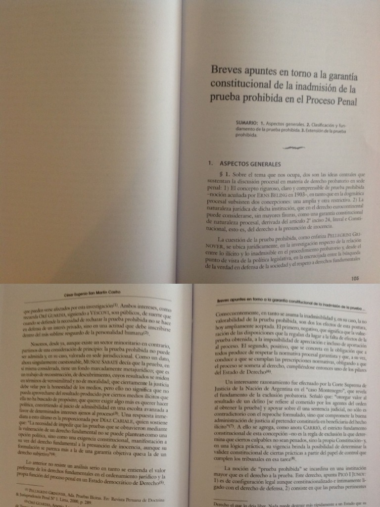La Prueba Prohibida - San Martín Castro | PDF