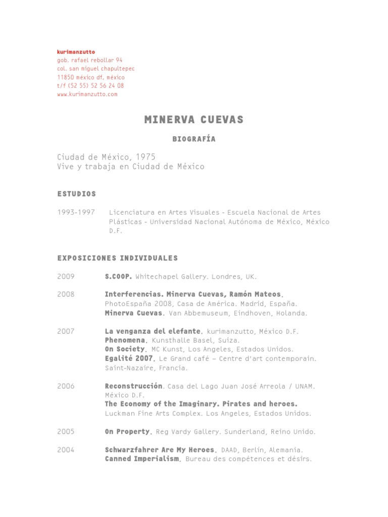 CV Minerva Cuevas | PDF