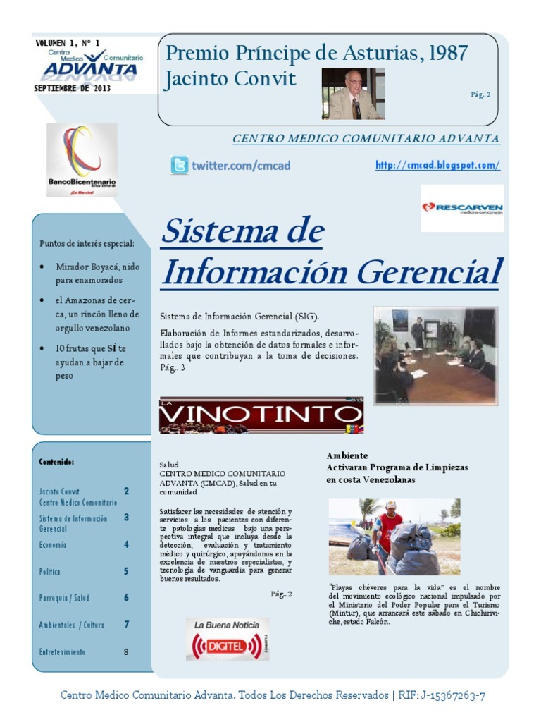 Sistema de Información Gerencial | PDF