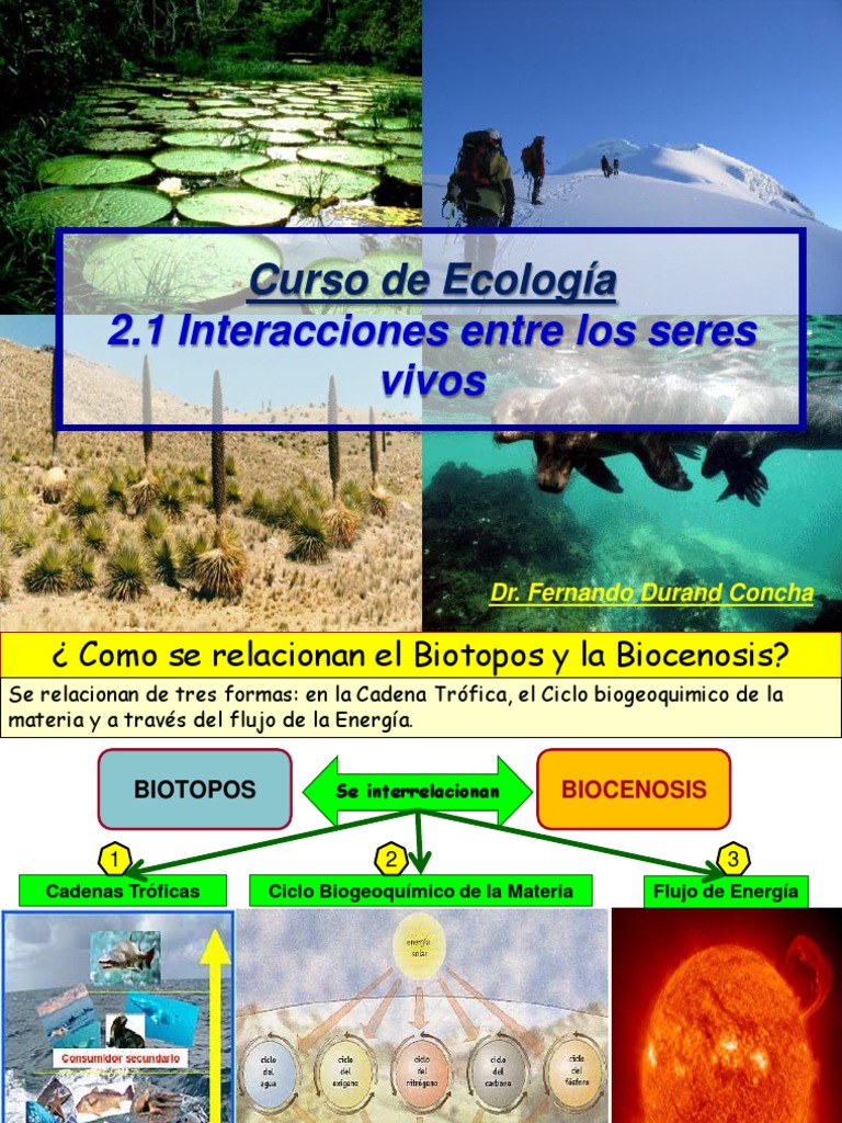 2.1 Interaccion Entre Seres Vivos-cadena Trofica-ciclo Biogeoquimico 2013