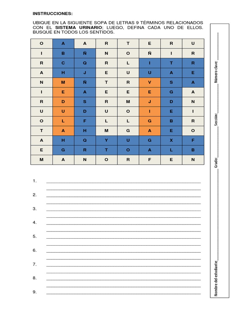 Sopa de Letras del Sistema Urinario | PDF | Estudios de idiomas ...