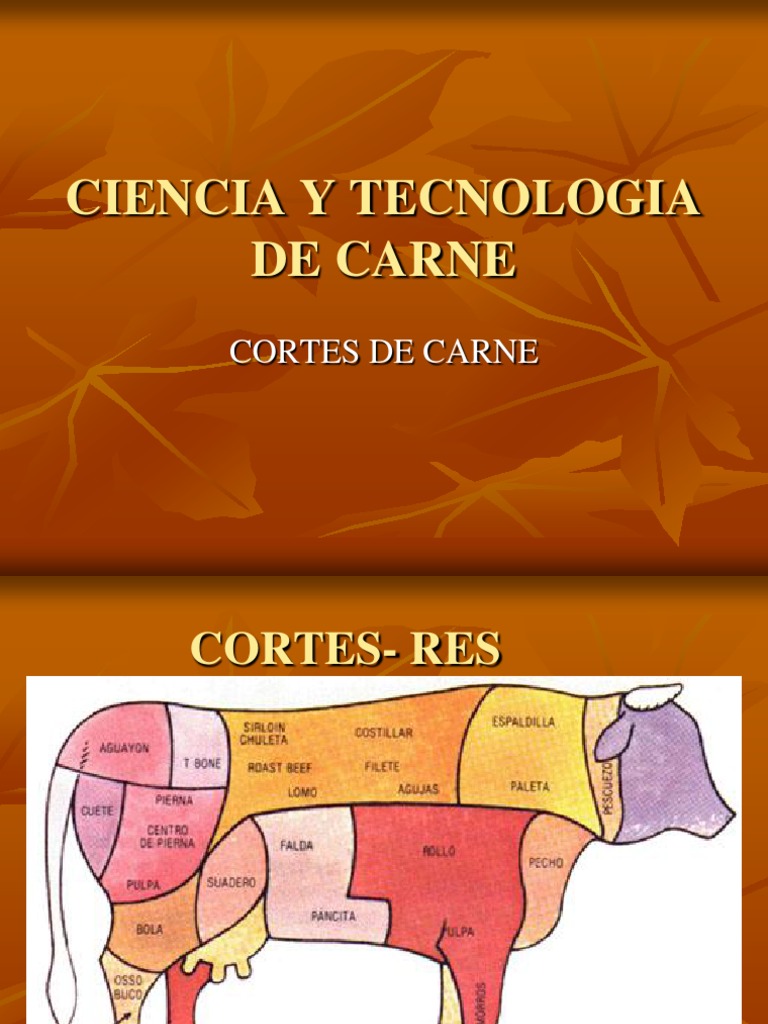 Principales cortes de carne de res y cerdo y sus usos culinarios | PDF ...