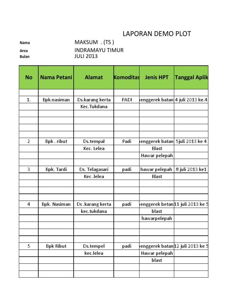 Contoh Format Demplot | PDF