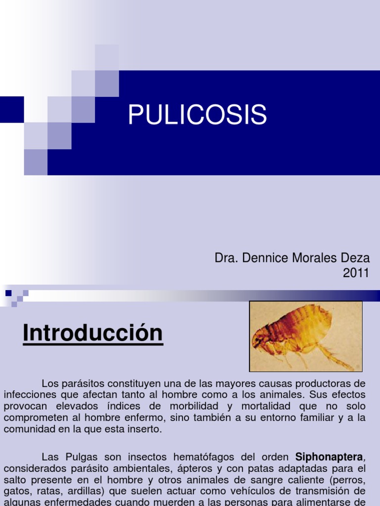 PULICOSIS | PDF | Enfermedades animales | Bienestar