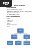 Class 10 - Reproduction | PDF | Reproduction | Sexual Reproduction
