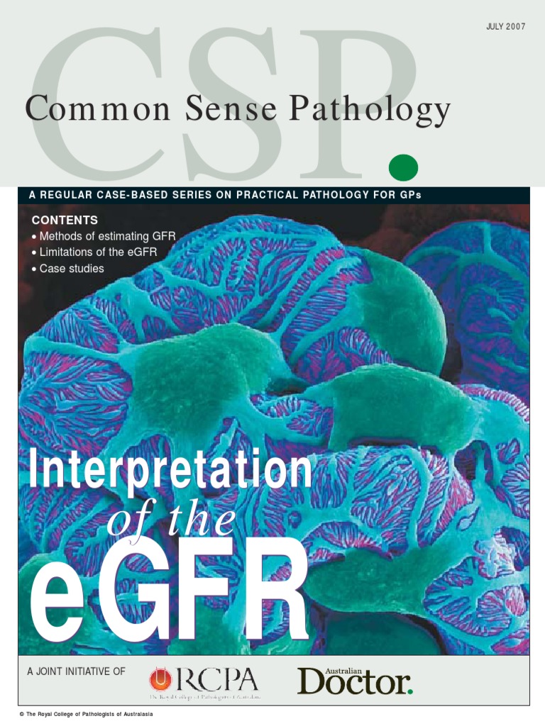 Interpretation of The eGFR Jul 07 | Download Free PDF | Renal Function ...