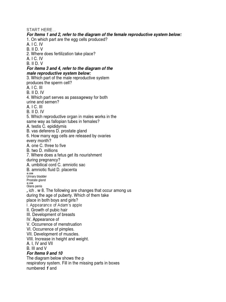 SCIENCE 5 First Grading Test | PDF | Lung | Reproductive System