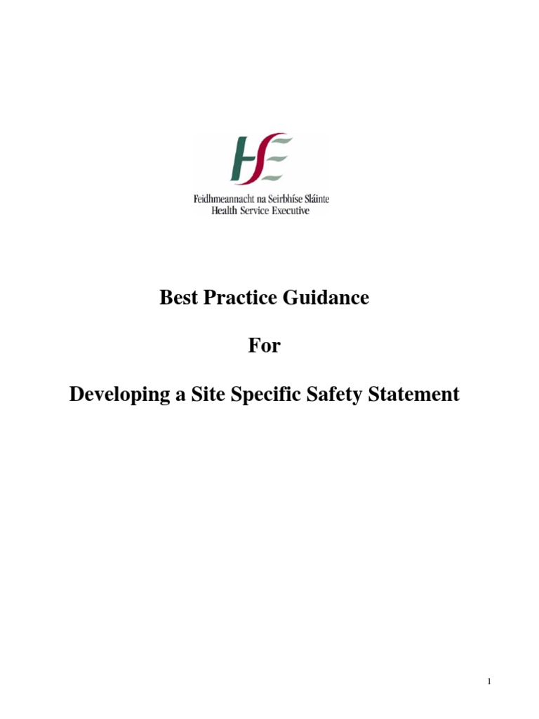 Site Specific Safety | Download Free PDF | Risk | Safety