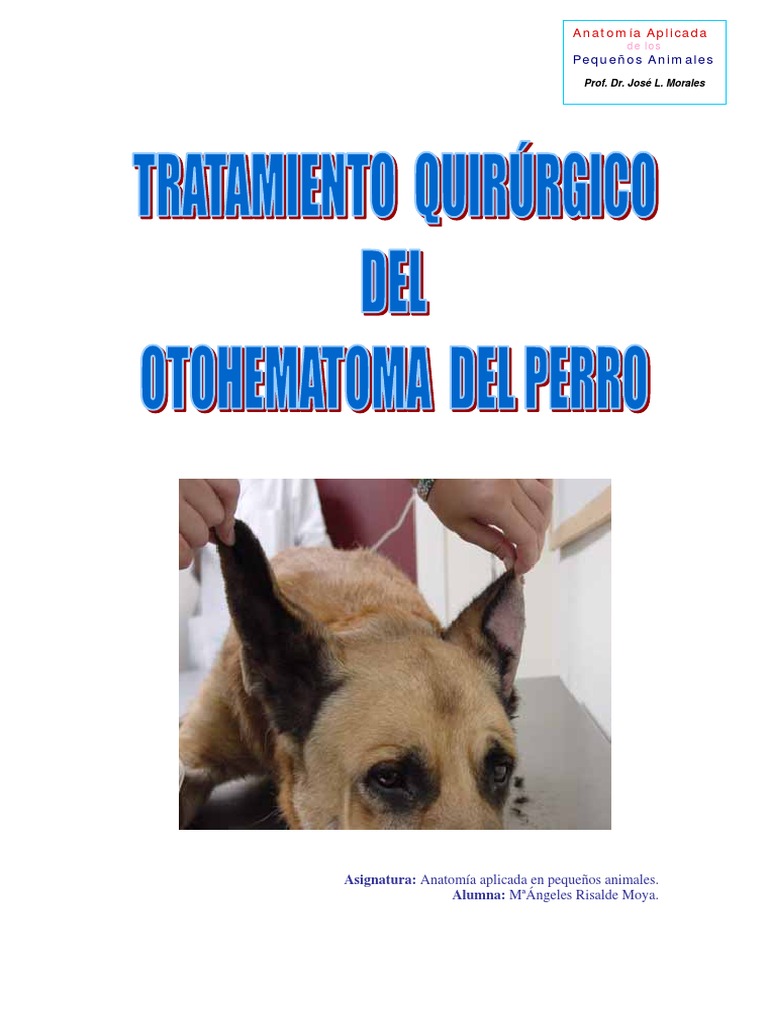 Otohematoma 1 | Oído | Cirugía