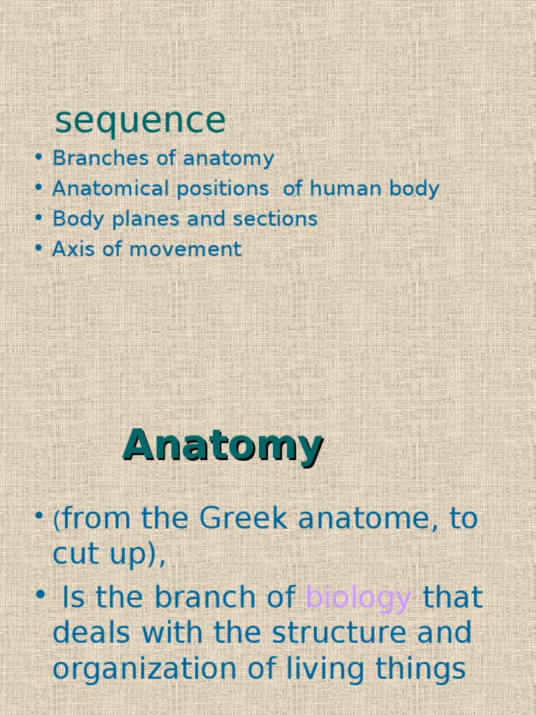 Overview of Anatomy Branches | PDF | Anatomical Terms Of Location | Anatomy