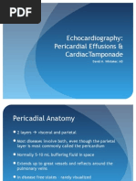 ASE Guidelines for Chamber Quantification | PDF | Ventricle (Heart ...