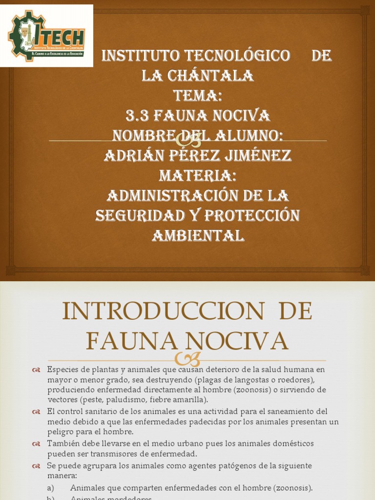 Fauna Nociva y Zoonosis en Salud Pública | PDF | Infección | Rata