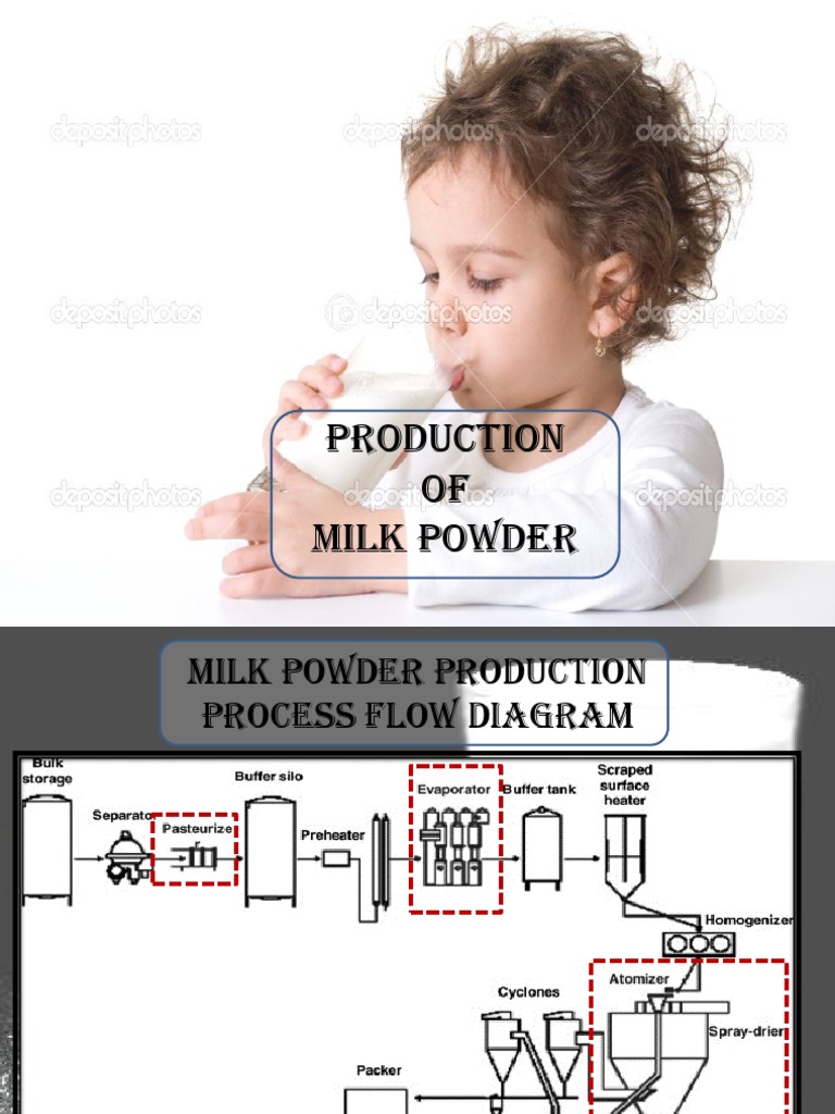 Production of Milk Powder | PDF | Powdered Milk | Milk