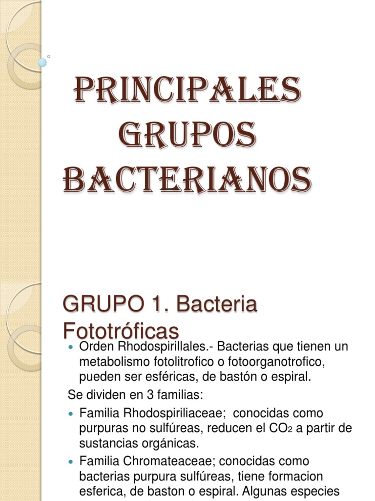 Principales Grupos Bacterianos | PDF | Las bacterias | Bacterias Gram ...