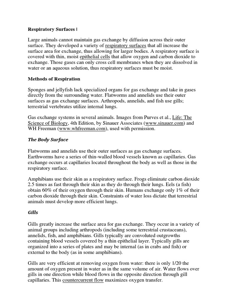 Respiratory Surfaces | Download Free PDF | Gill | Zoology