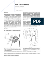 Sea Turtle Digestive System Anatomy | PDF | Gastrointestinal Tract ...