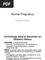 Fundic Height Measurement | PDF | Pregnancy | Health Care