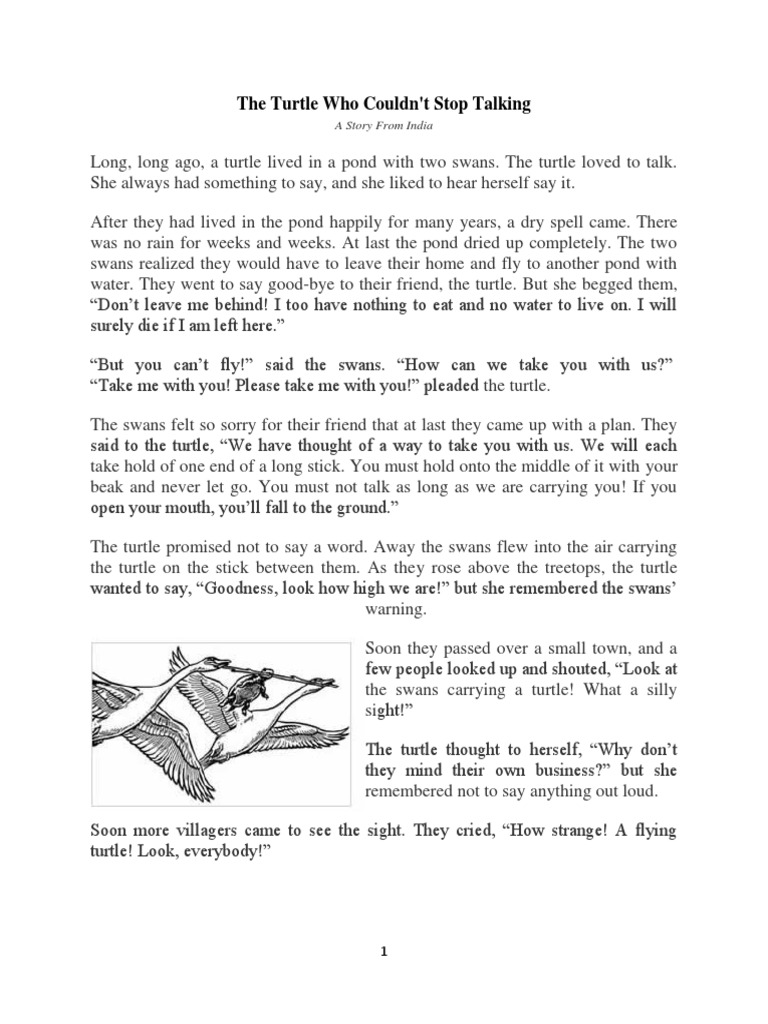 The Turtle Who Couldn't Stop Talking: A Story From India | PDF ...