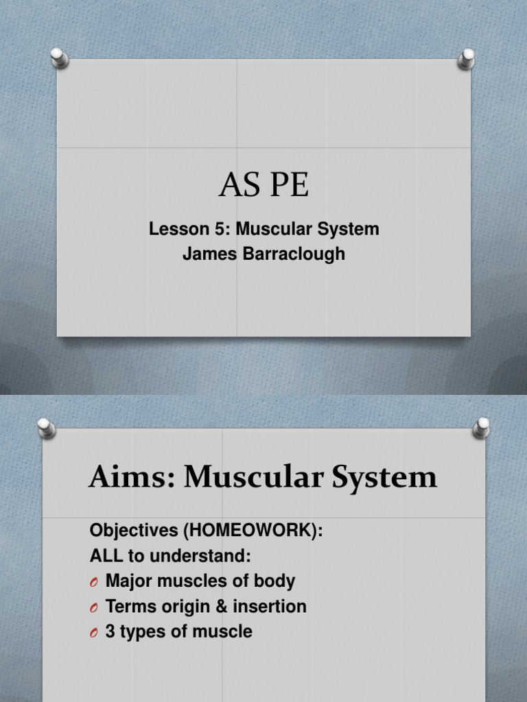 As PE Lesson 5 Muscles | PDF