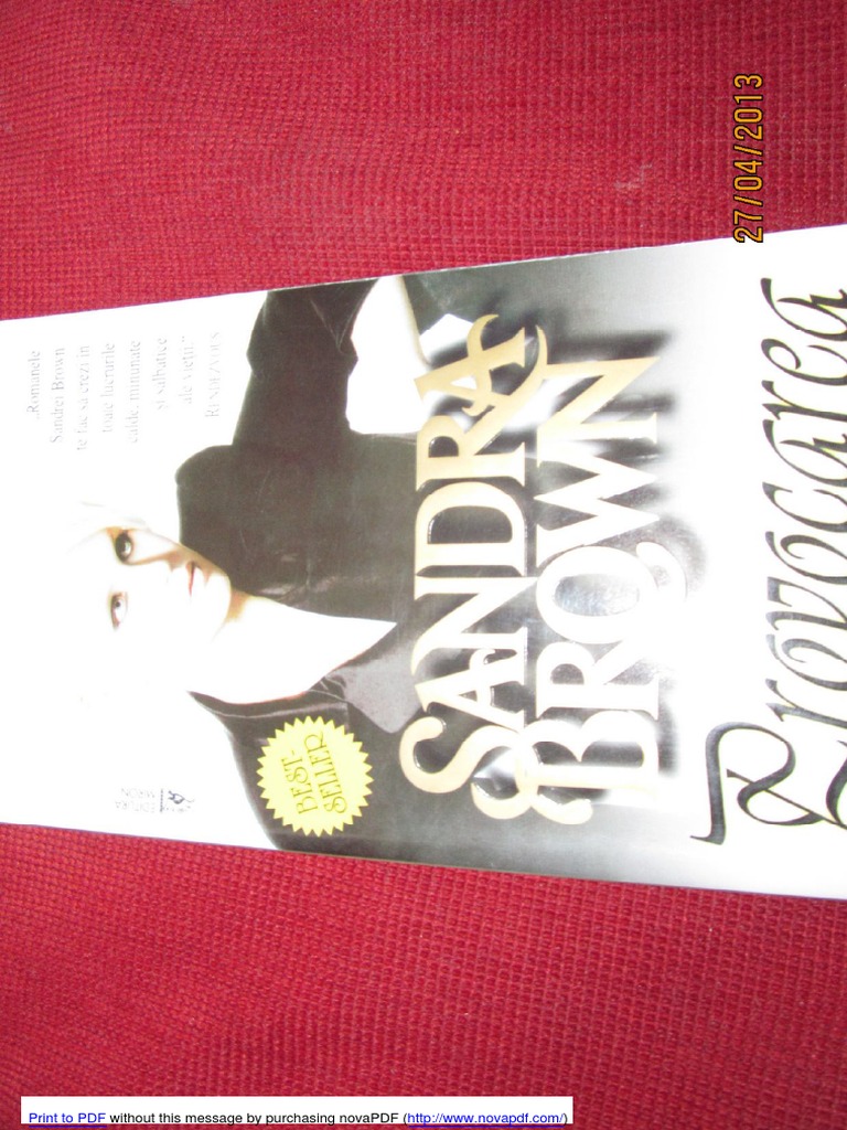 Sandra Brown Provocarea The Devil S Own | PDF | Business | Computers