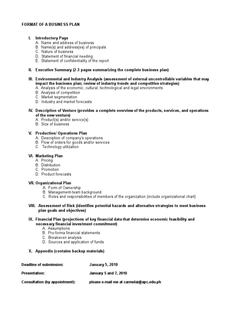 Business Plan Format Guide | PDF
