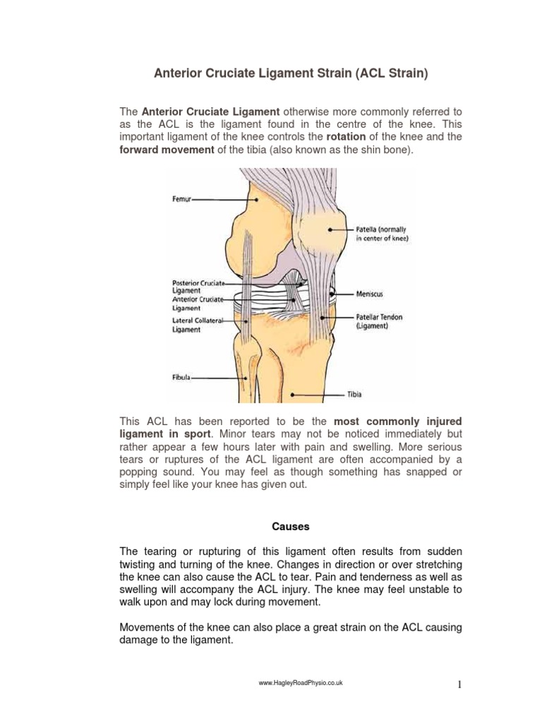 Anterior Cruciate Ligament Strain (ACL Strain) : Forward Movement of ...