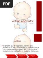 Protocolo GHOST-CAP para Neuroprotección | PDF