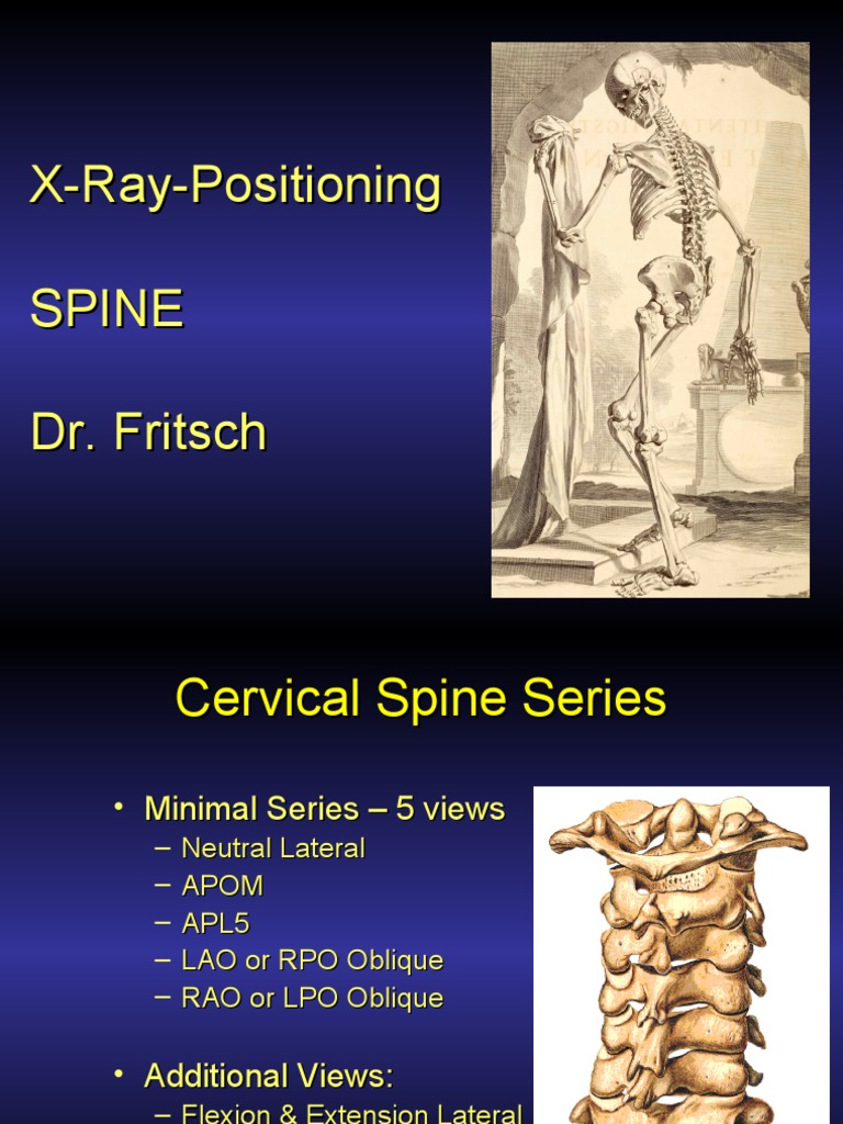X-Ray-Positioning Spine Dr. Fritsch | PDF | Vertebral Column | Vertebra