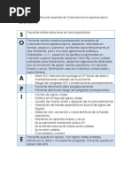 Soapie | PDF | Enfermería | Ciencias de la Salud