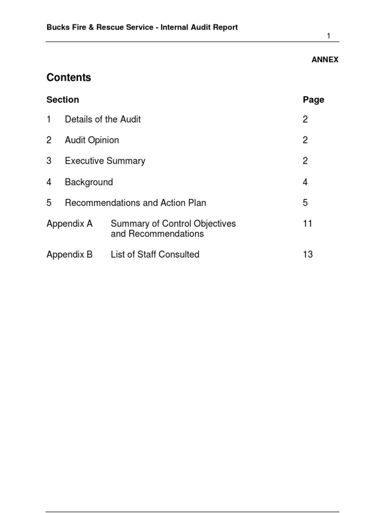 Internal Audit Report Annex | PDF | Internal Audit | Audit