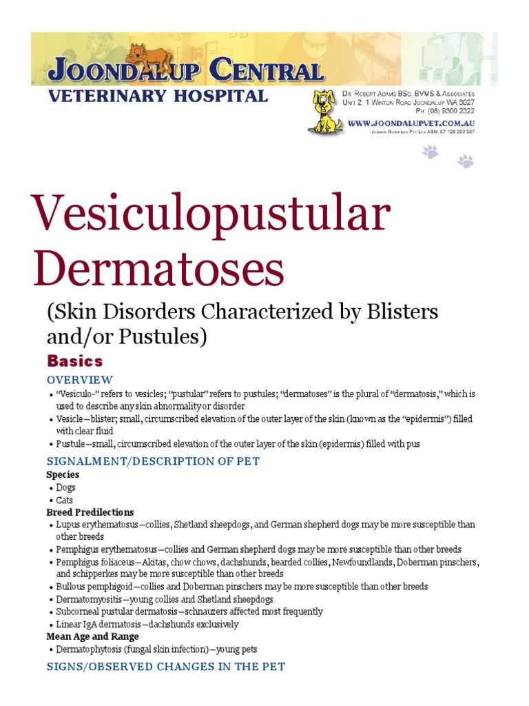 A Comprehensive Guide to Vesiculopustular Dermatoses in Dogs and Cats ...