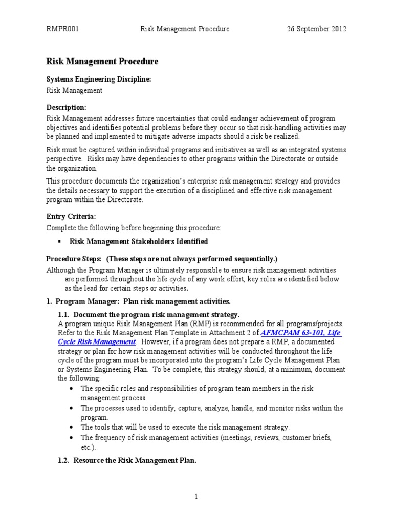 Risk Management Procedure Example | Download Free PDF | Risk Management ...