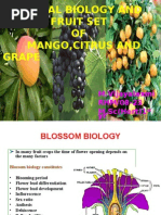 UNIT-1 Horticulture - Its Definations and Branches, Importance and Scope | PDF | Horticulture ...