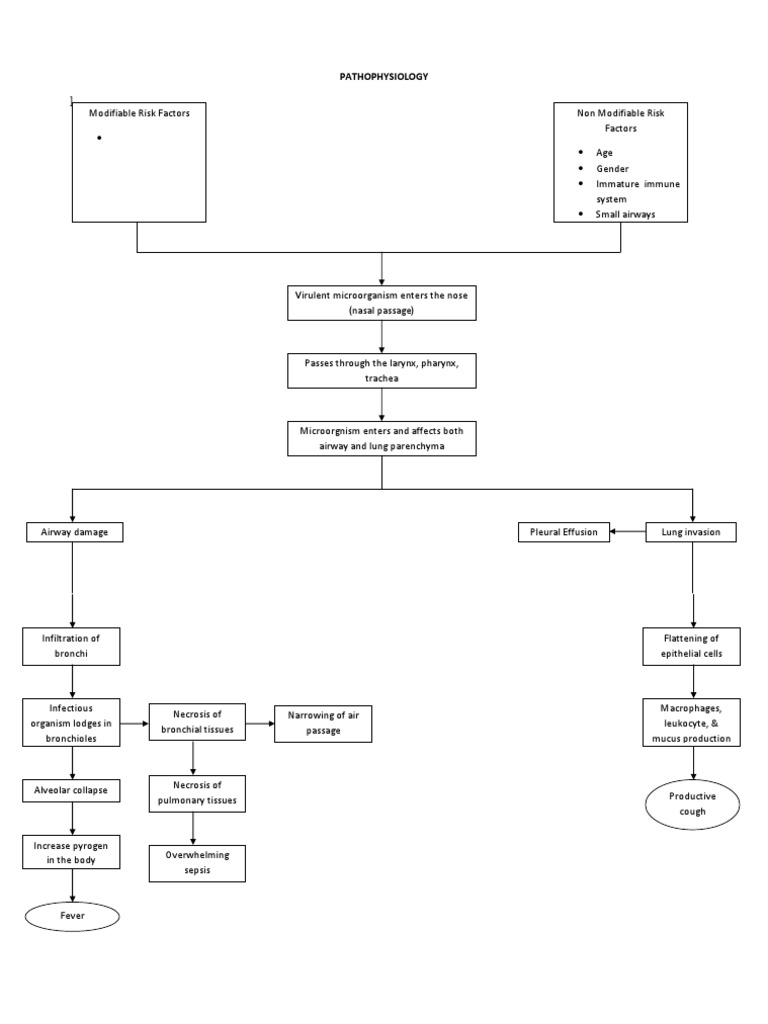 Pathophysiology of Pneumonia | PDF