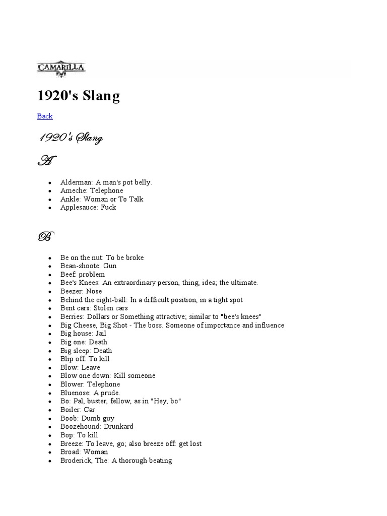 1920s Slang | PDF