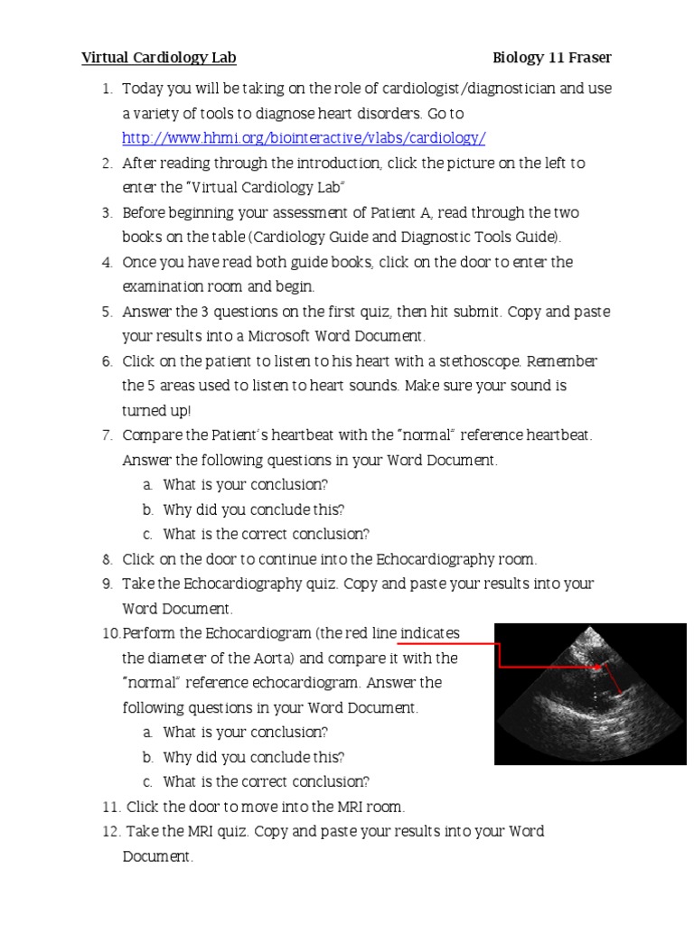 Biology 11 Cardiovascular System - Virtual Cardiology Lab | PDF ...